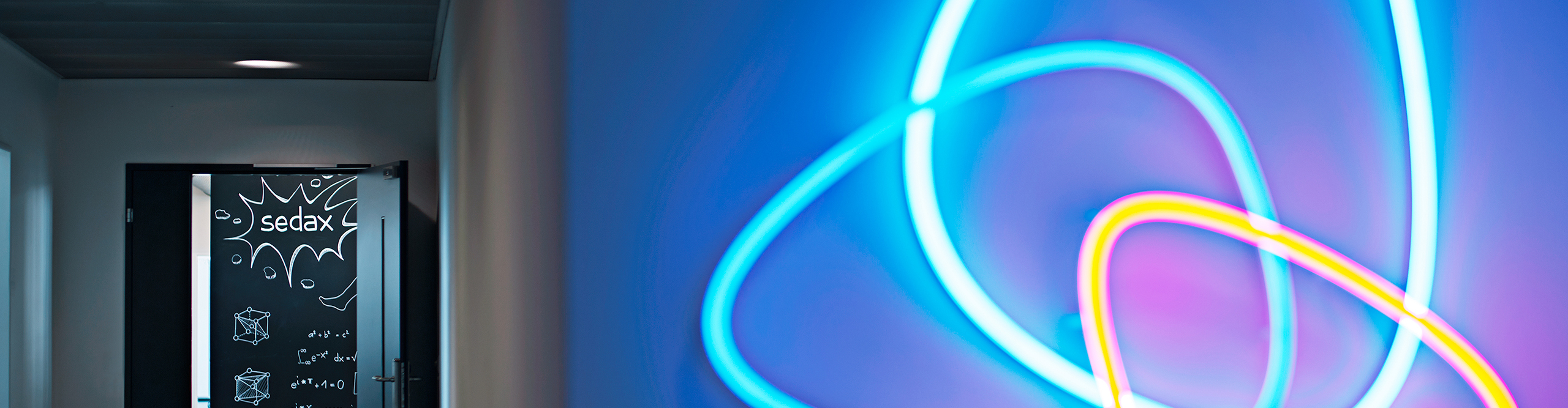 Was wir tun – Sedax AG Zürich